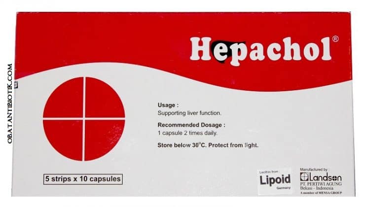 Hepachol – Fungsi – Obat Apa – Dosis Dan Cara Penggunaan - HaloSehat
