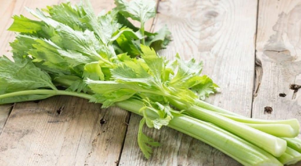 Sering Digunakan Untuk Masak, Ternyata Ini Baik Untuk Kesehatan - HaloSehat